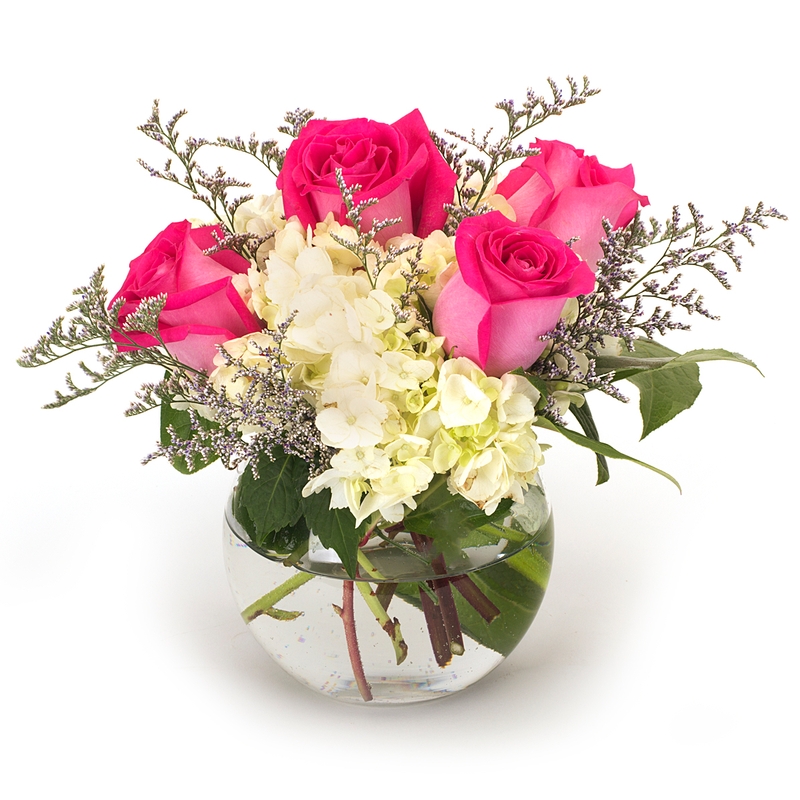 Bubble Bowl Rose Pink Colored Blooms Daves RI