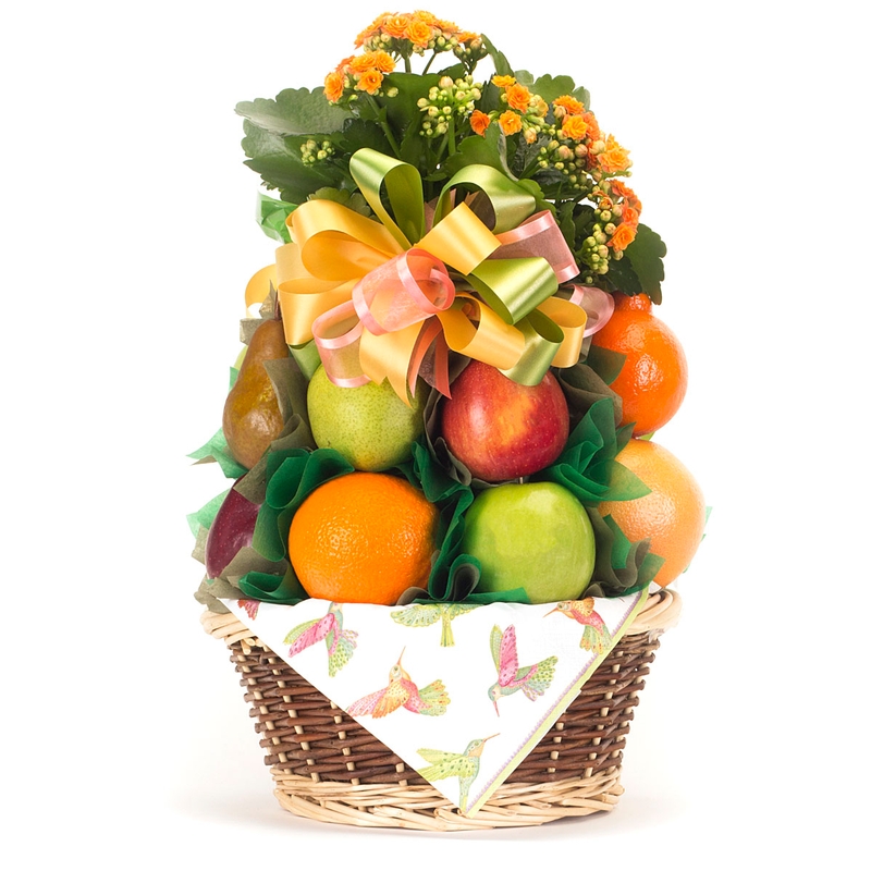Flowering Plant and Fruit Basket Dave's Gift Baskets RI